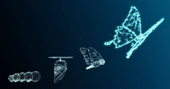 Cómo el linaje de datos mejora la visibilidad y la confianza en los datos
