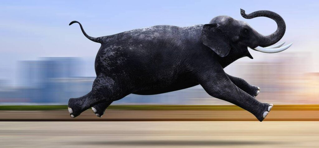 High Performance Real Time Analytics On Hadoop Data Actian