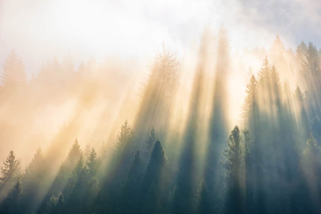 5 Misconceptions About Data Quality And Governance 7219
